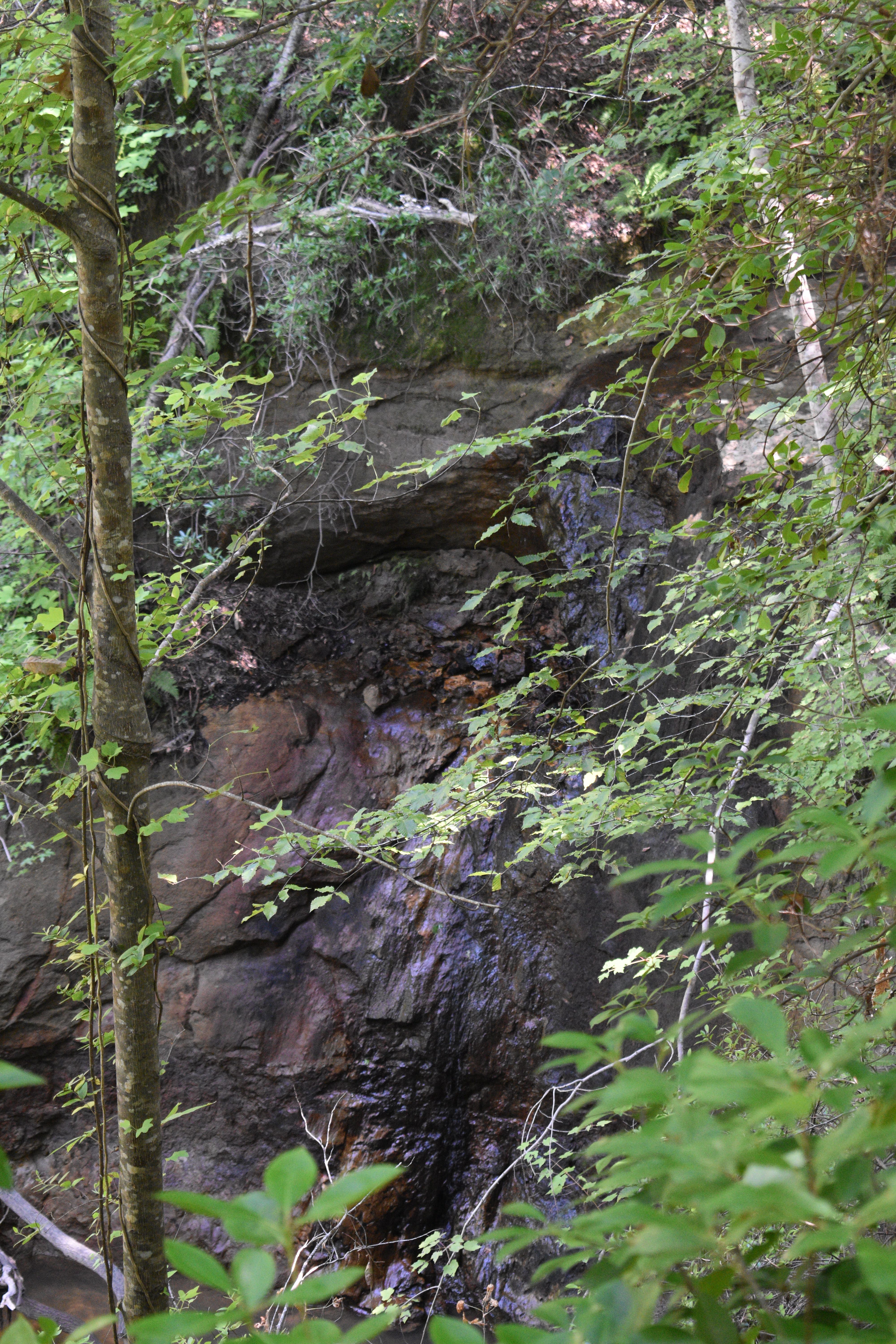 614 – Clark Park Falls* – HikingWNC