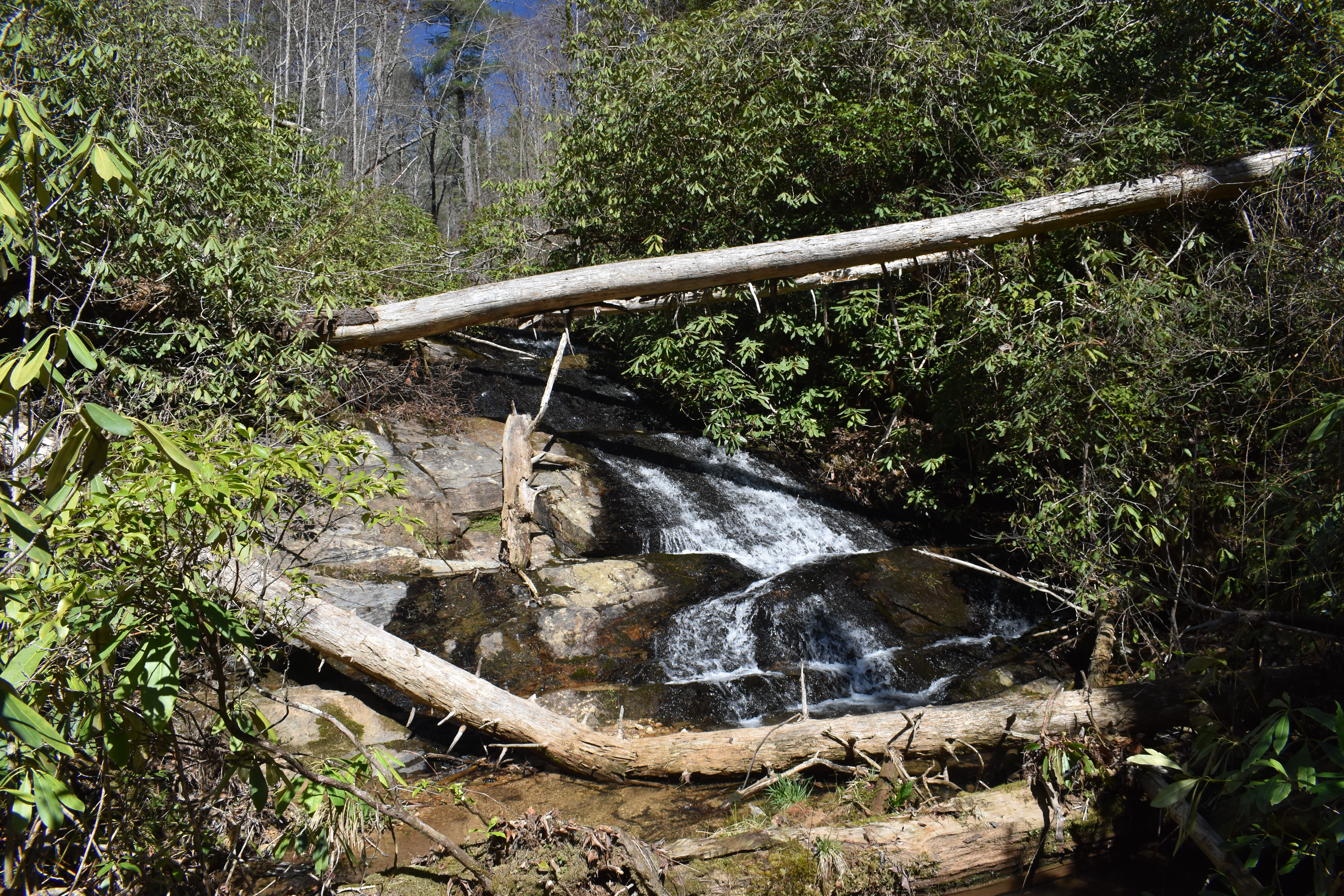 1033 – Grapevine Hell Falls – HikingWNC